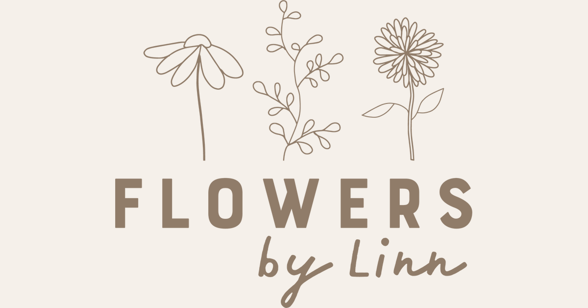 Sen tulpan 'Suzanna' – Dahlias By Linn